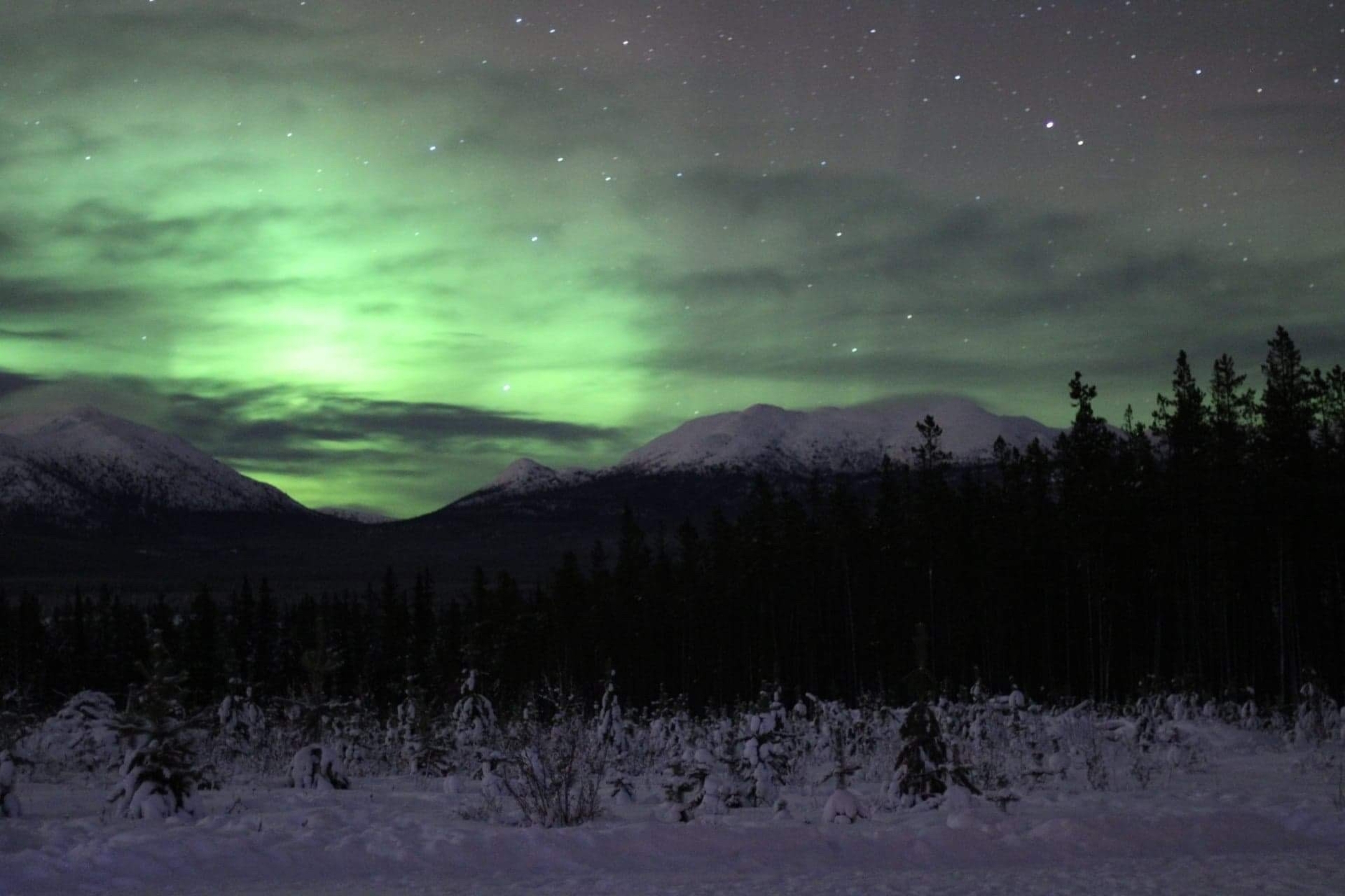 Best Value Aurora Viewing | Basic by Arctic Range Adventure with 37 ...