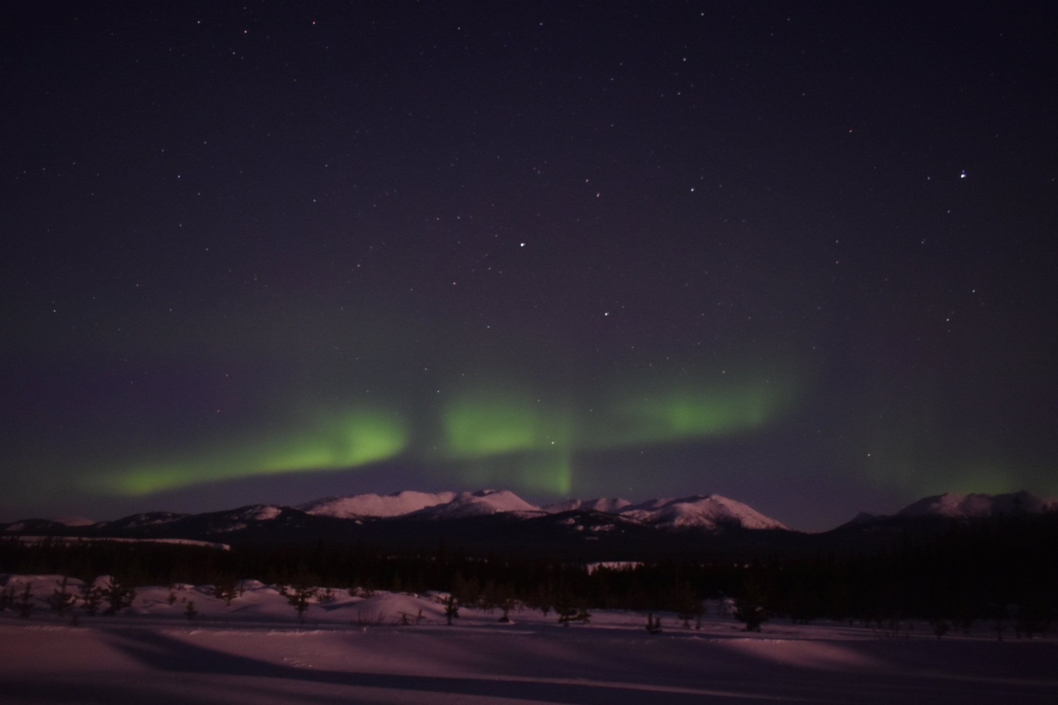 Best Value Aurora Viewing | Basic by Arctic Range Adventure with 37 ...