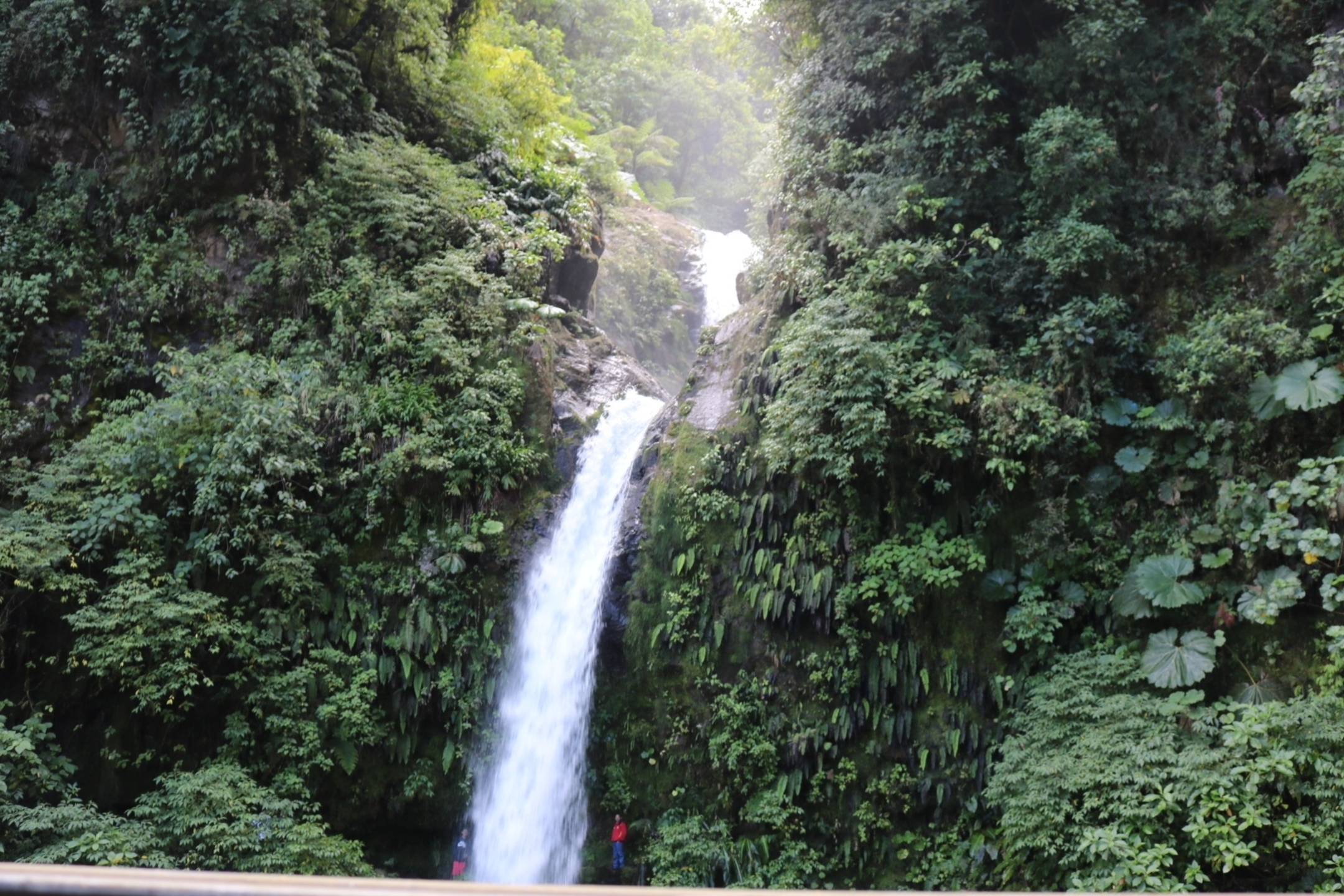 Costa Rica Quest by G Adventures with 316 Tour Reviews (Code: CRQ ...