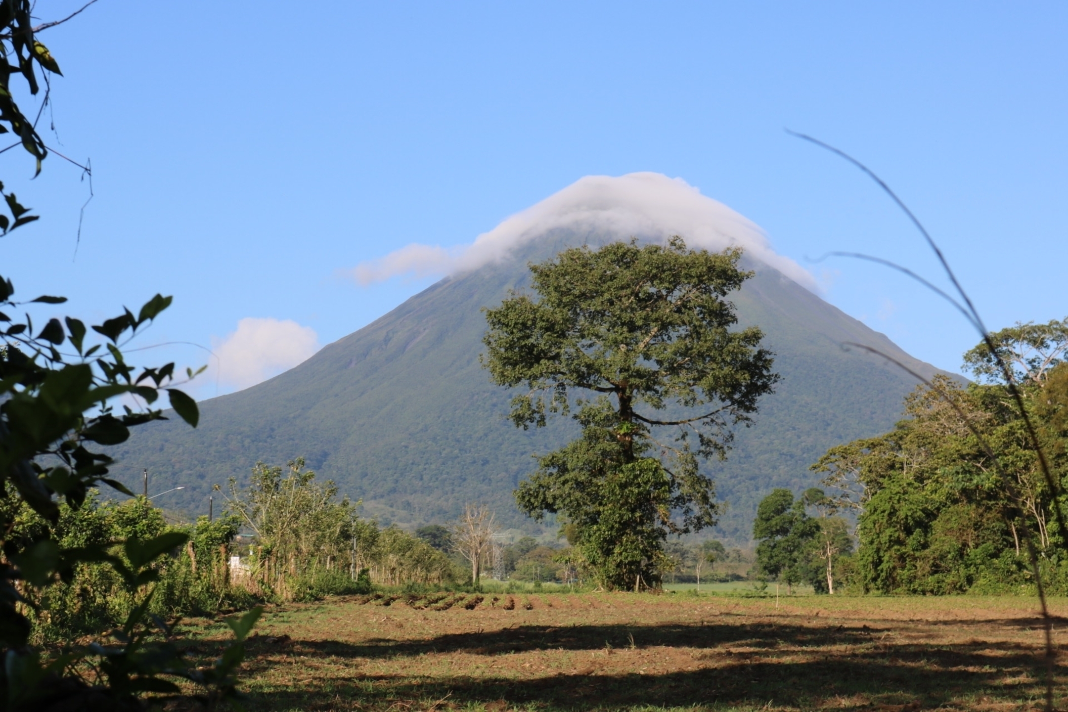 Costa Rica Quest by G Adventures with 316 Tour Reviews (Code: CRQ ...