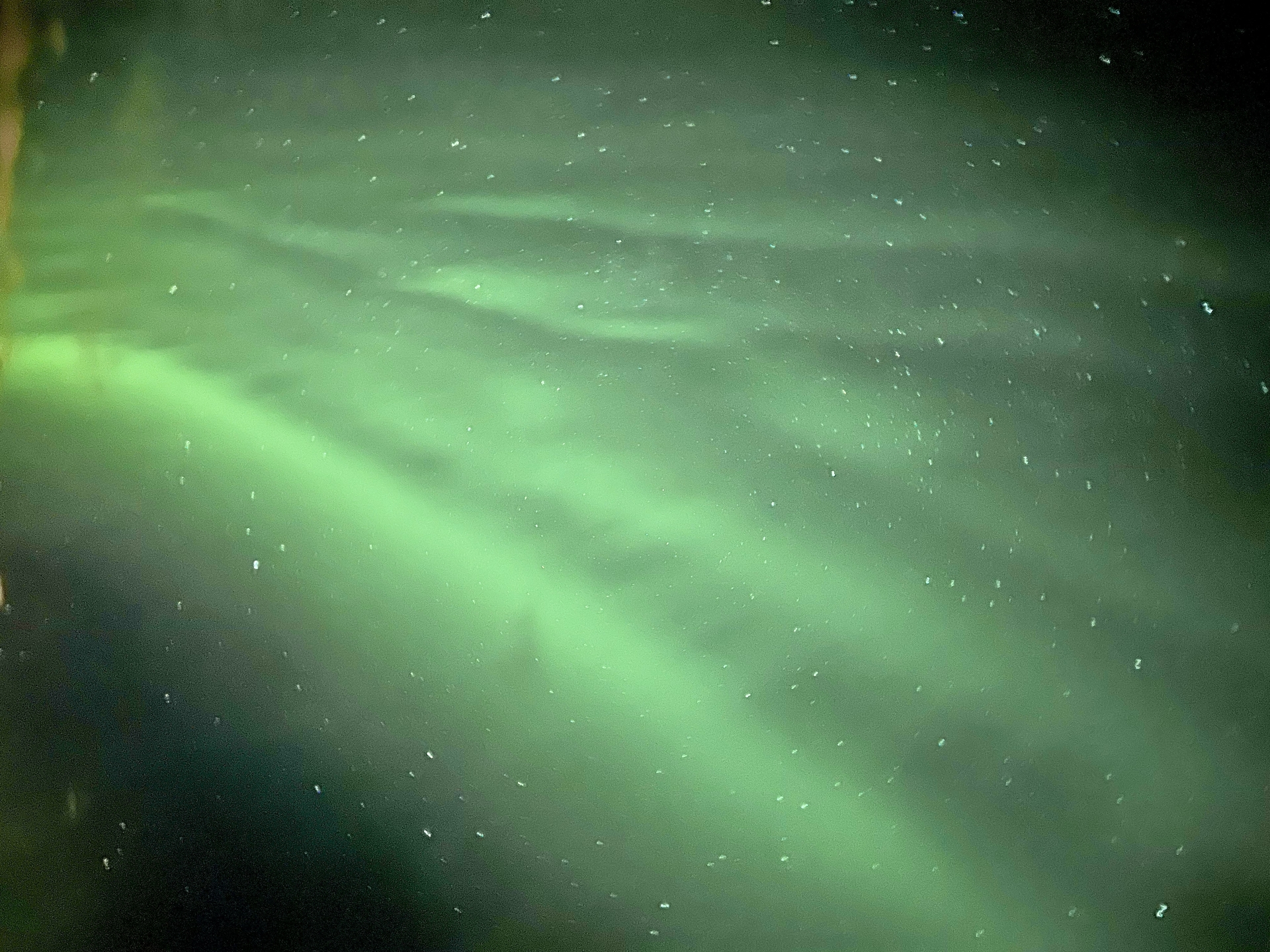 Best Value Aurora Viewing | Basic by Arctic Range Adventure with 37 ...