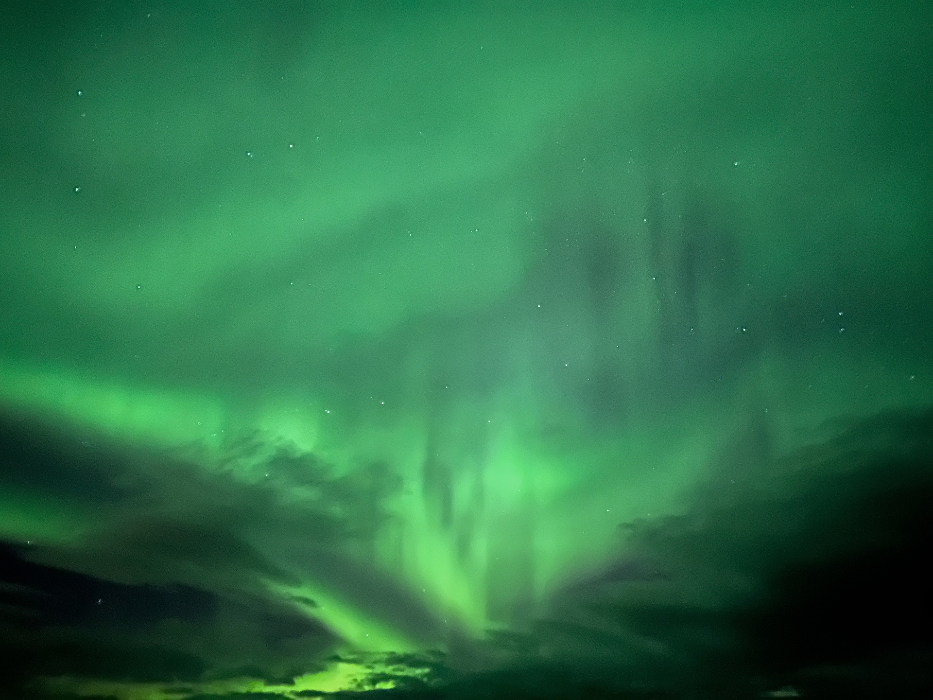 Best Value Aurora Viewing | Basic by Arctic Range Adventure with 37 ...
