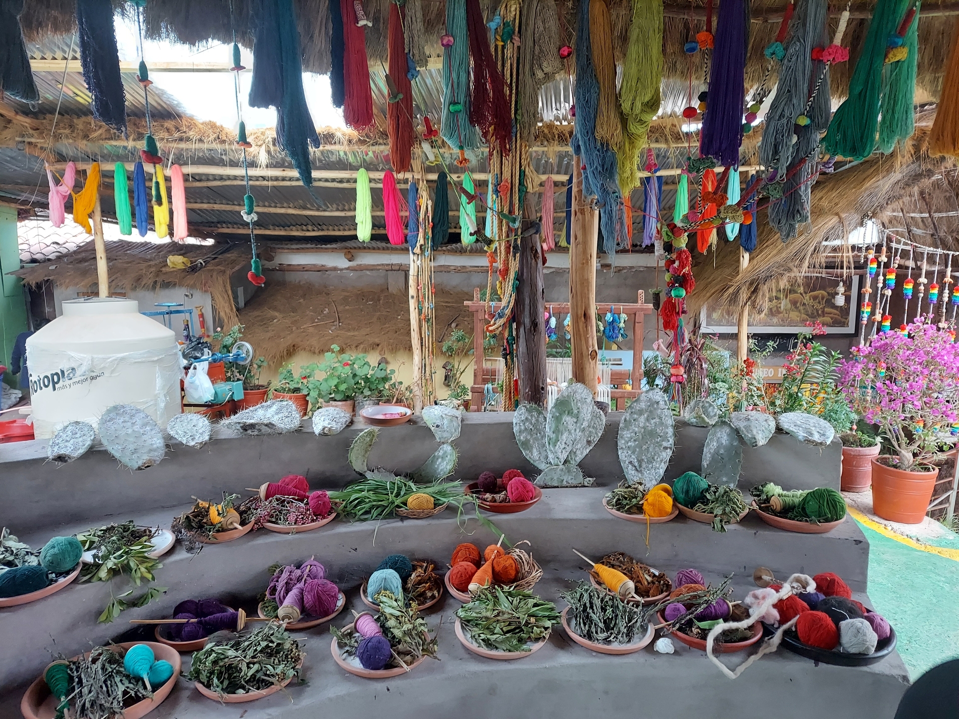 Inca Treasures by LimaTours with 22 Tour Reviews (Code: 22774) - TourRadar