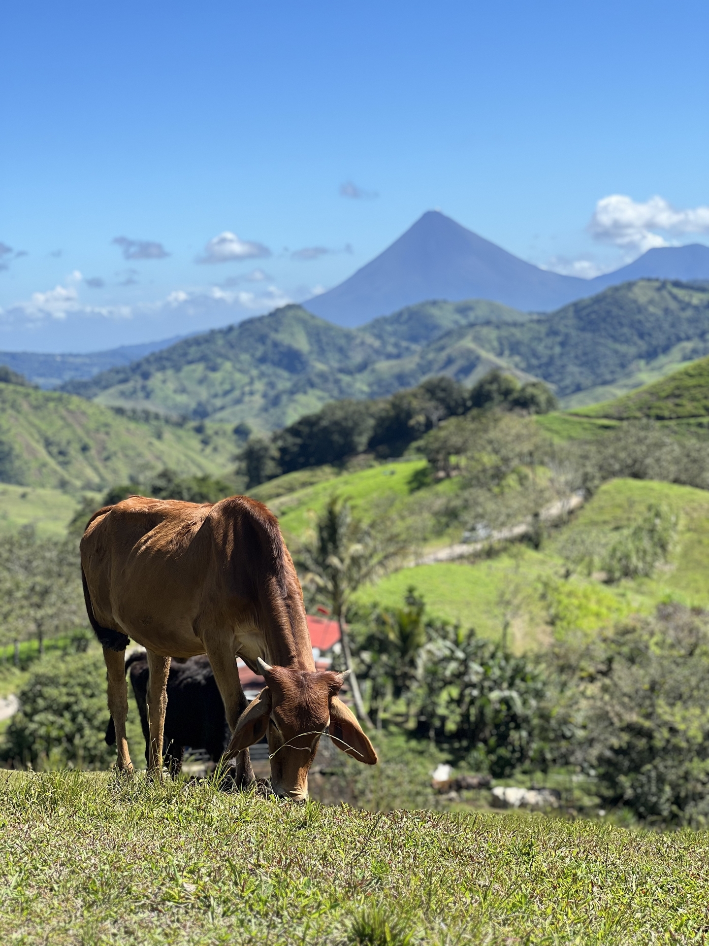 Costa Rica Quest by G Adventures with 321 Tour Reviews (Code: CRQ ...