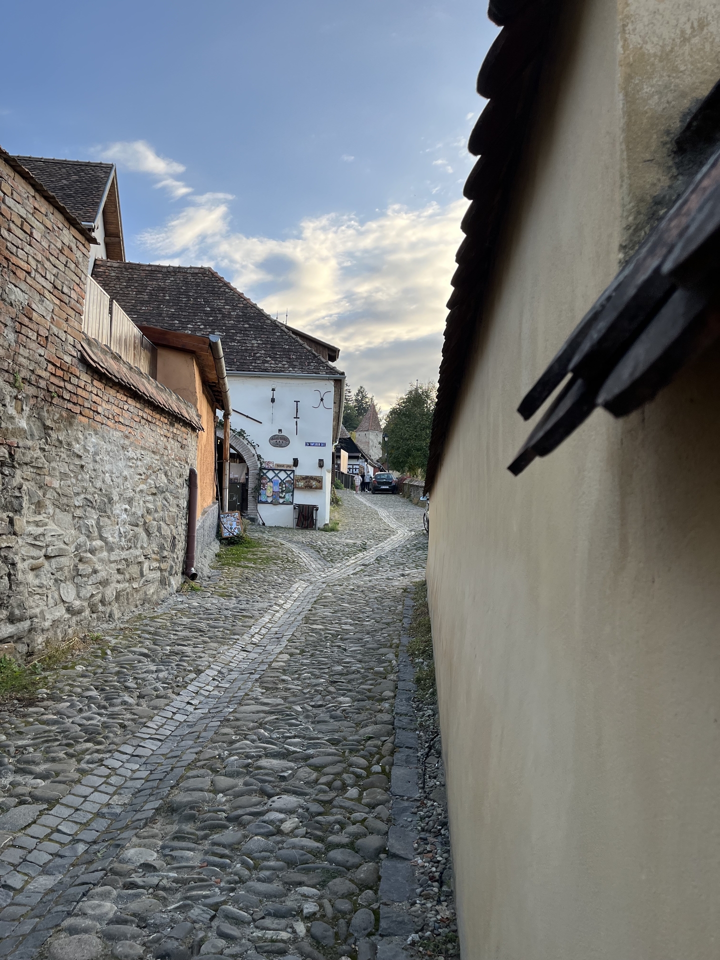 Best of Romania in 10 days by Rolandia with 28 Tour Reviews (Code ...
