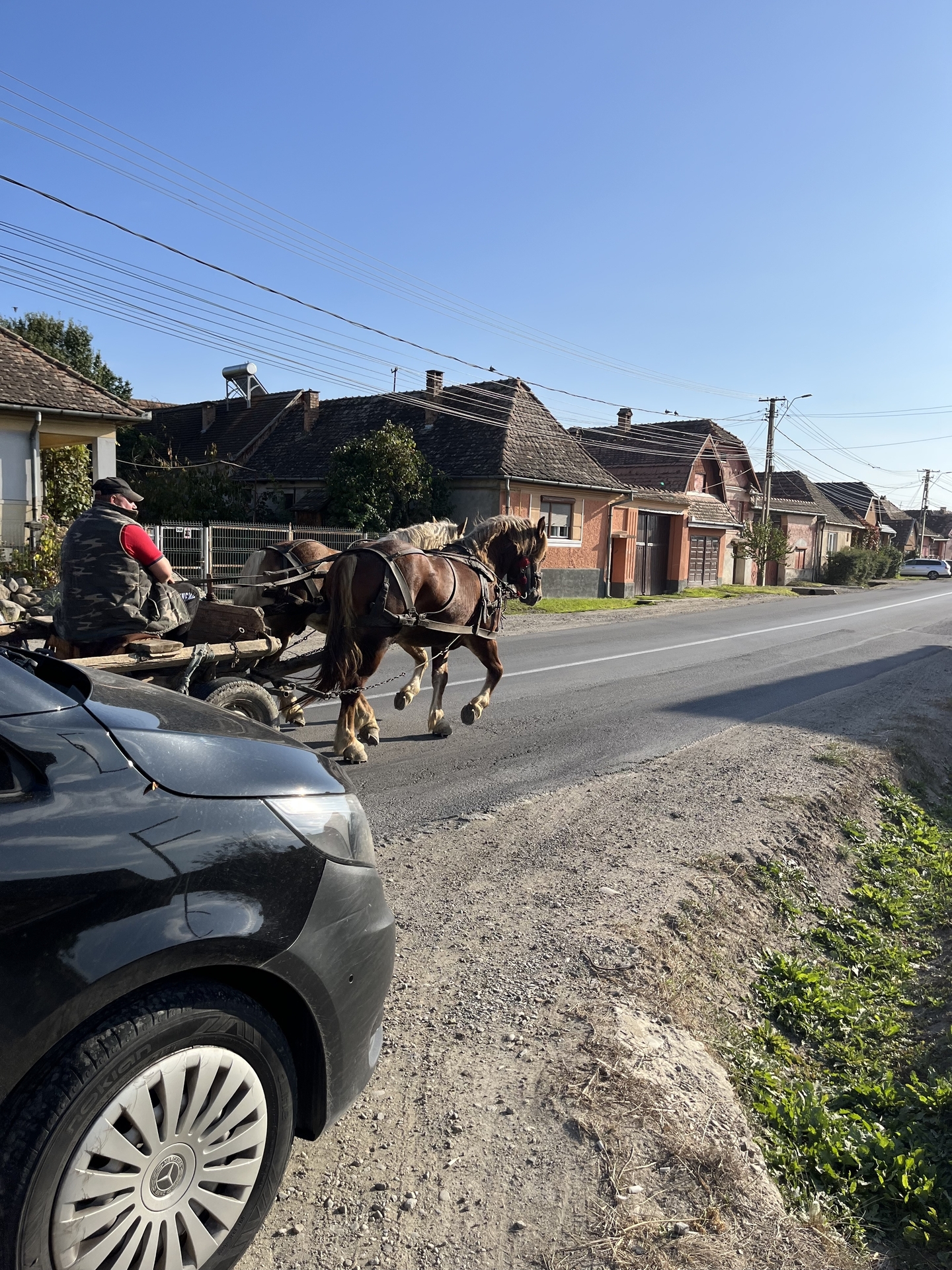 Best of Romania in 10 days by Rolandia with 28 Tour Reviews (Code ...