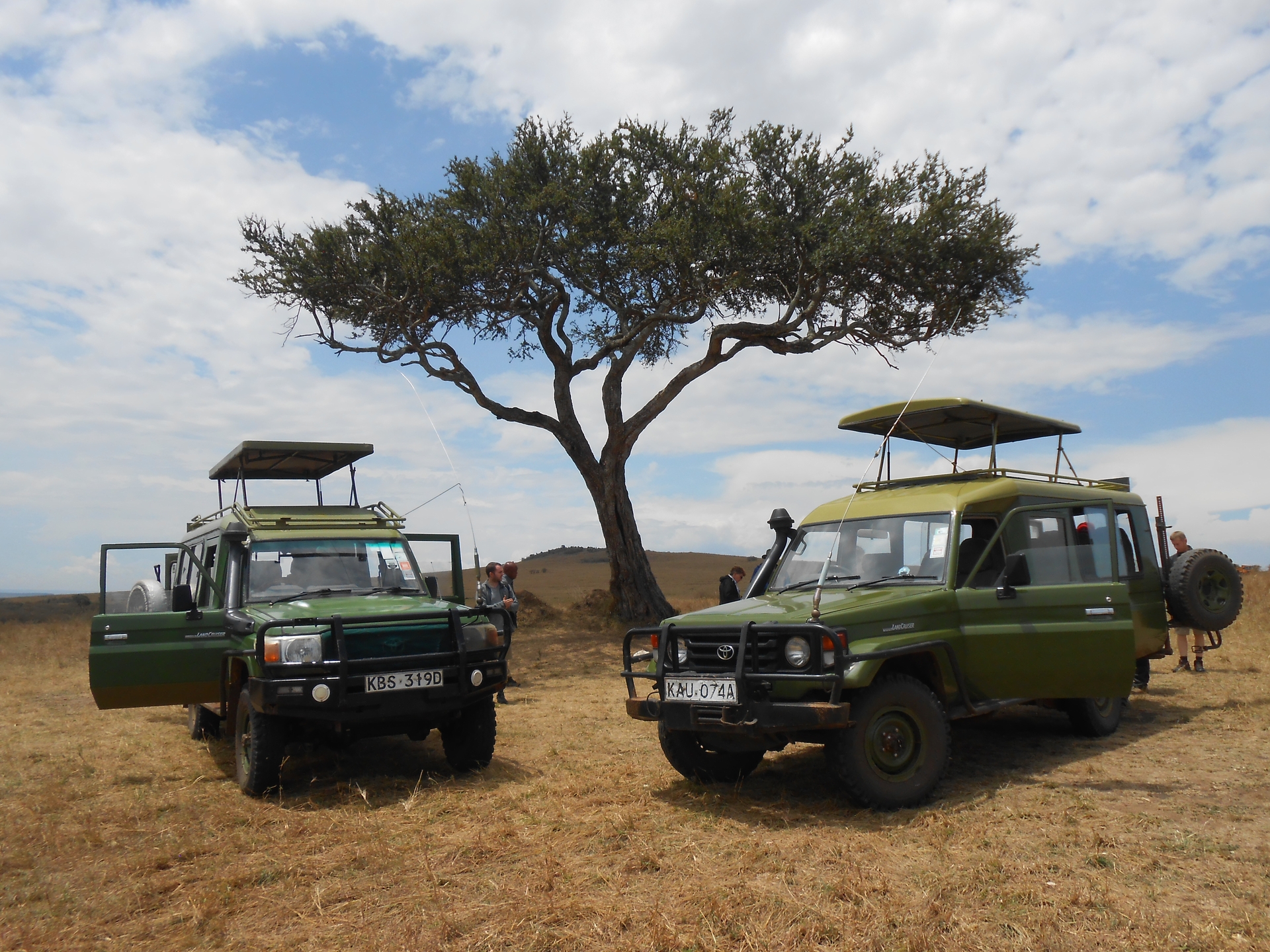 Kenya Wildlife Safari by Intrepid Travel with 57 Tour Reviews (Code ...