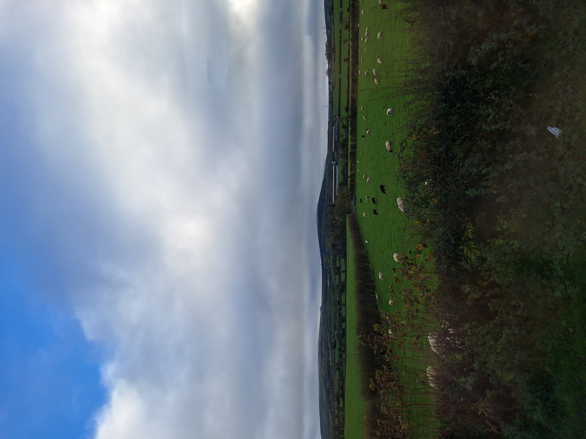 Highlights of Ireland & Scotland by Cosmos with 326 Tour Reviews (Code ...