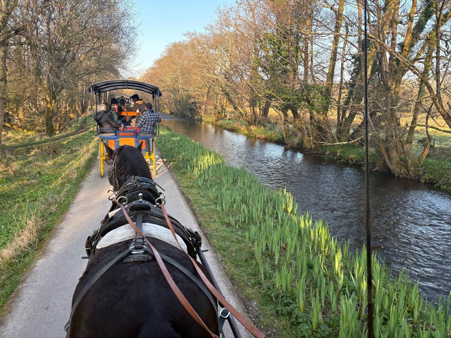 Irish Explorer by Expat Explore Travel with 213 Tour Reviews (Code: IRE ...