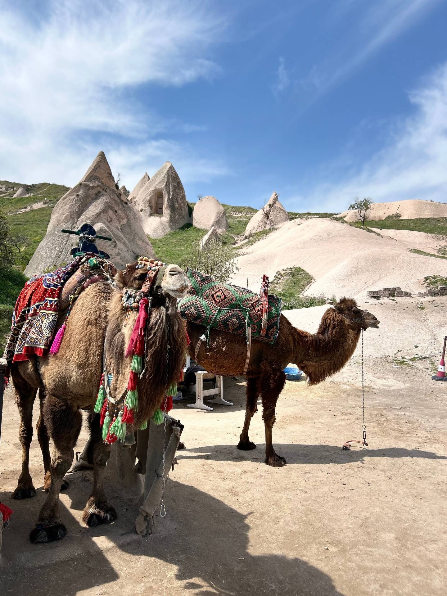 Absolutely Turkey (Small group tour) by Eskapas with 86 Tour Reviews ...