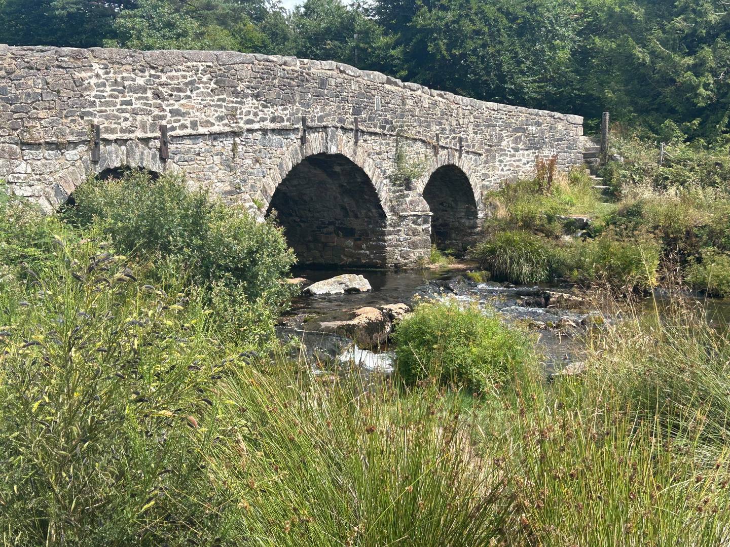 5-Day Devon & Cornwall Small Group from London by Rabbie's Tours with ...