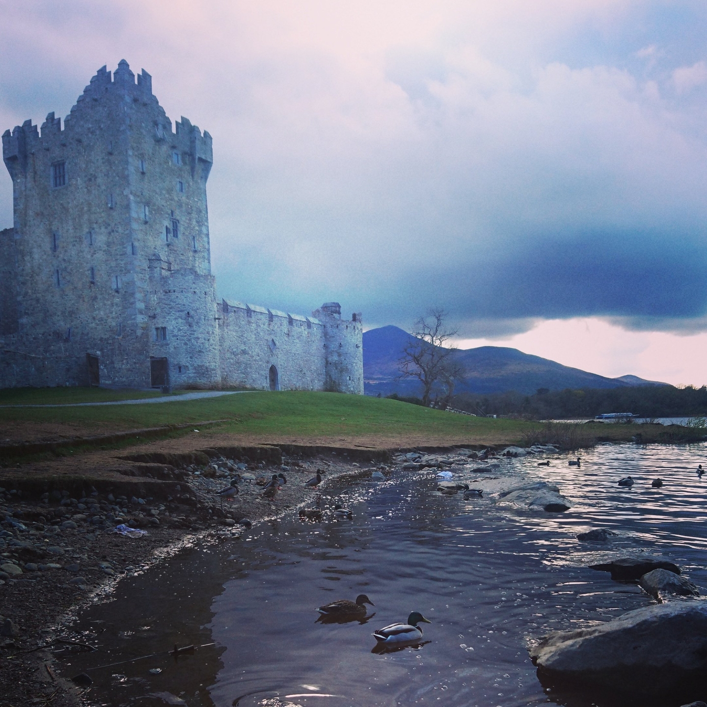 UK & Ireland: Panoramas & Pubs by Topdeck with 144 Tour Reviews (Code: TUKLL) - TourRadar