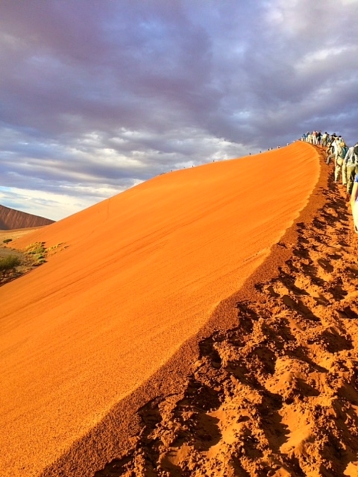 Namibia Discovery by Intrepid Travel with 13 Tour Reviews - TourRadar