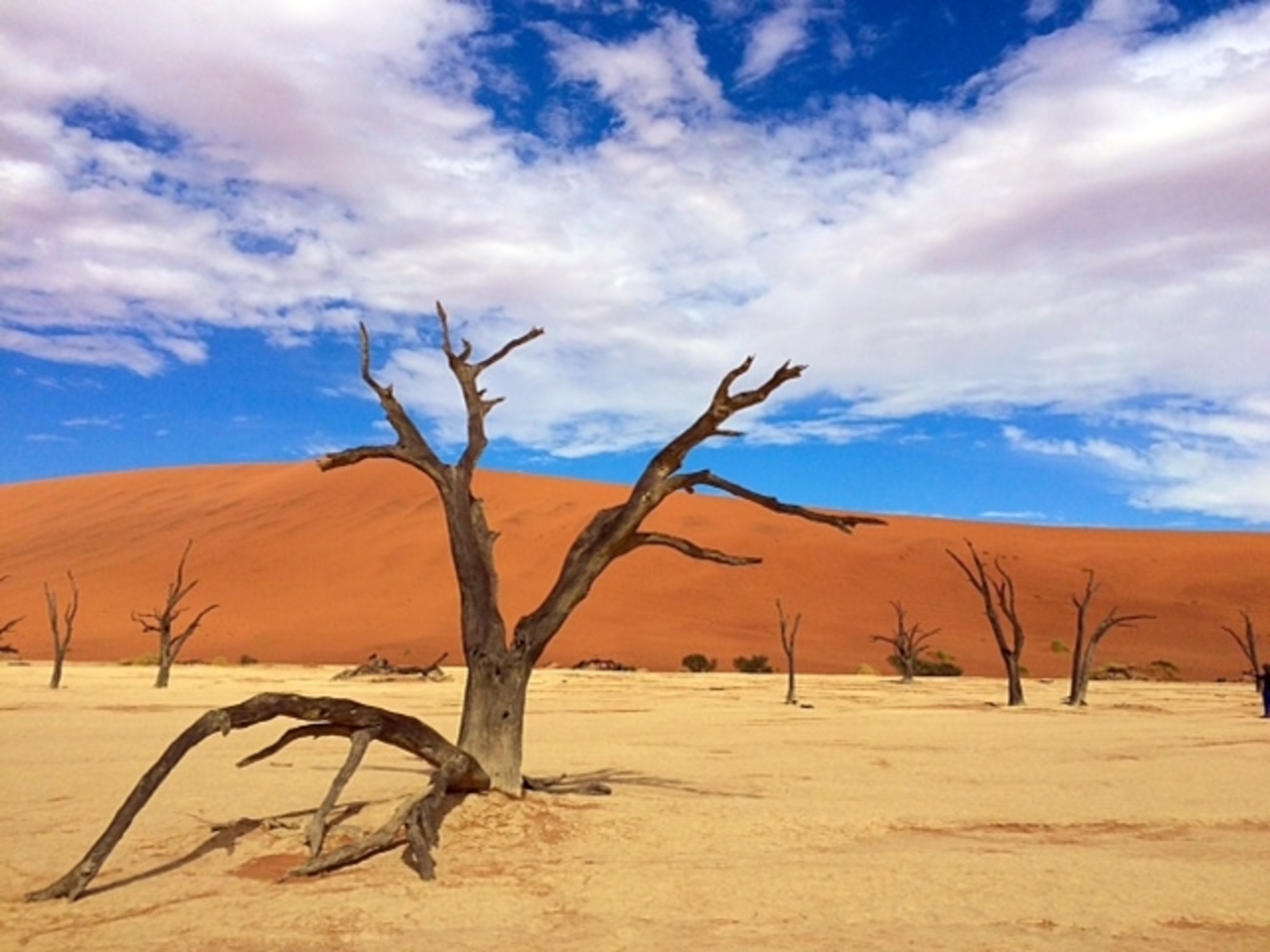 Namibia Discovery by Intrepid Travel with 13 Tour Reviews - TourRadar