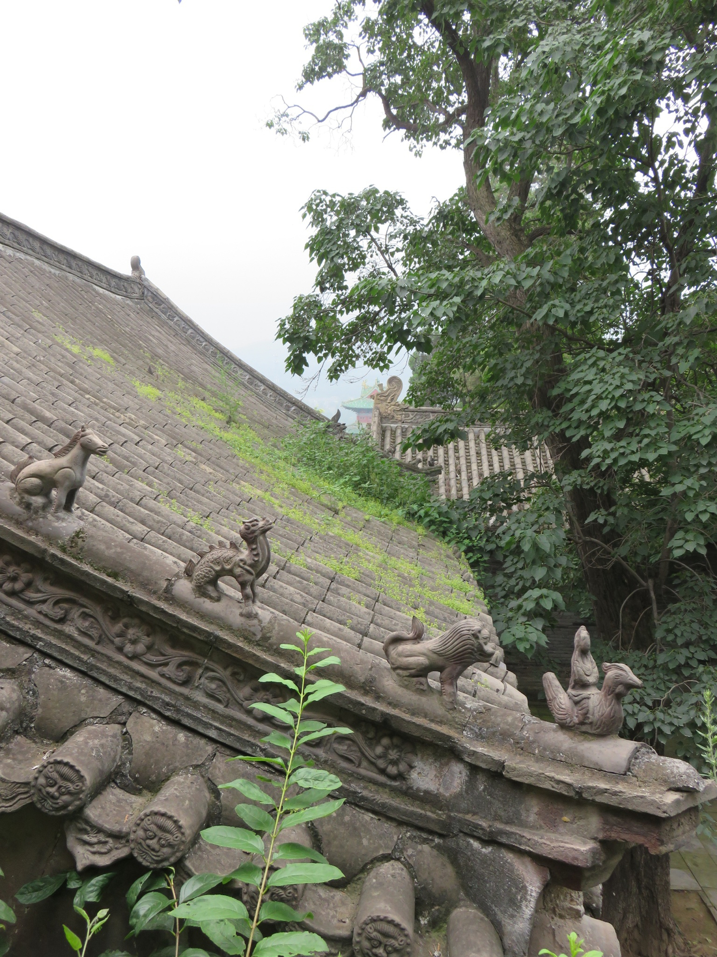 Shanghai Loop: Shanghai, Beijing, Xi'an Chengdu & Beyond by The Dragon ...