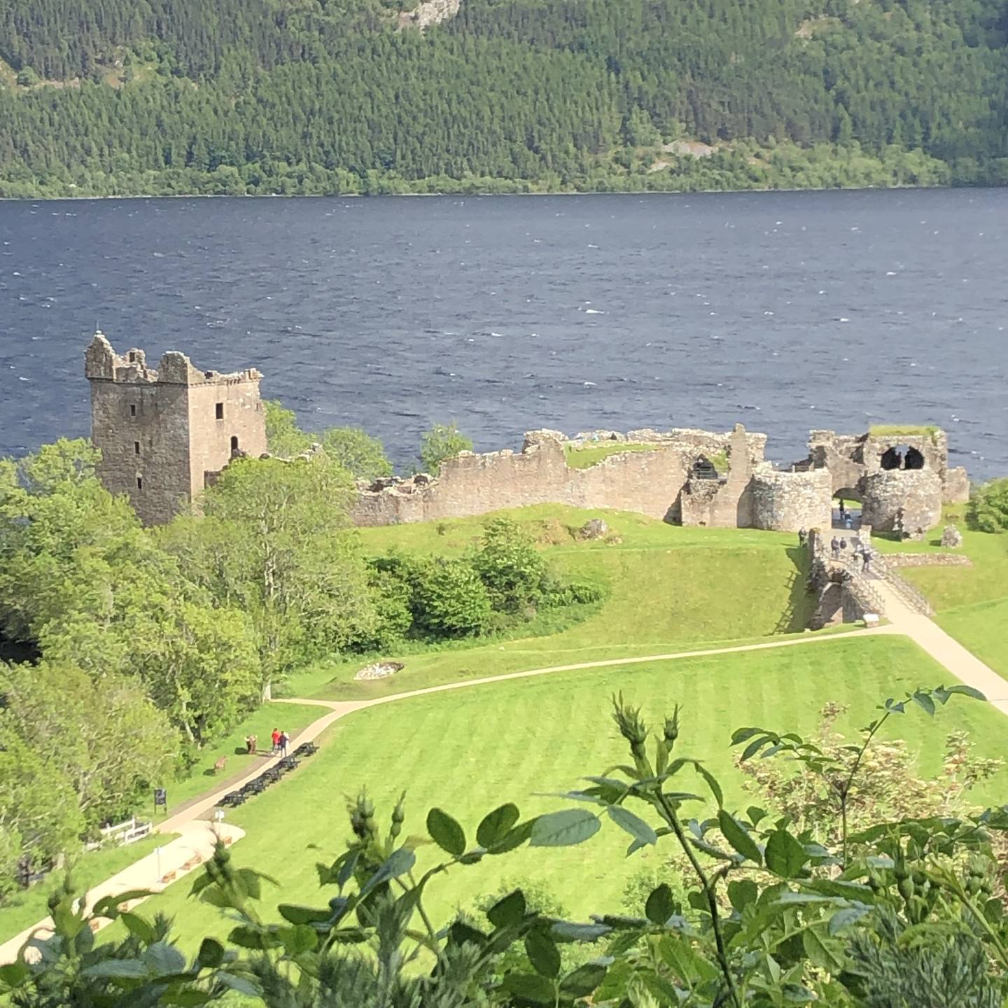 Bonnie Scotland by Globus with 285 Tour Reviews (Code: GG|7) - TourRadar