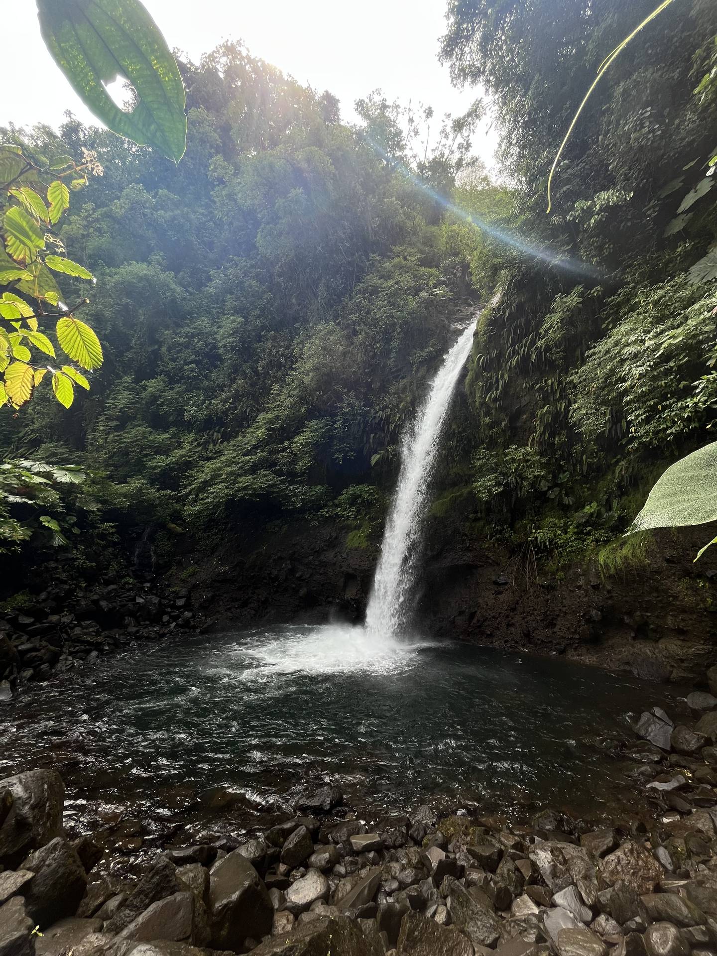 Costa Rica Quest by G Adventures with 321 Tour Reviews (Code: CRQ ...