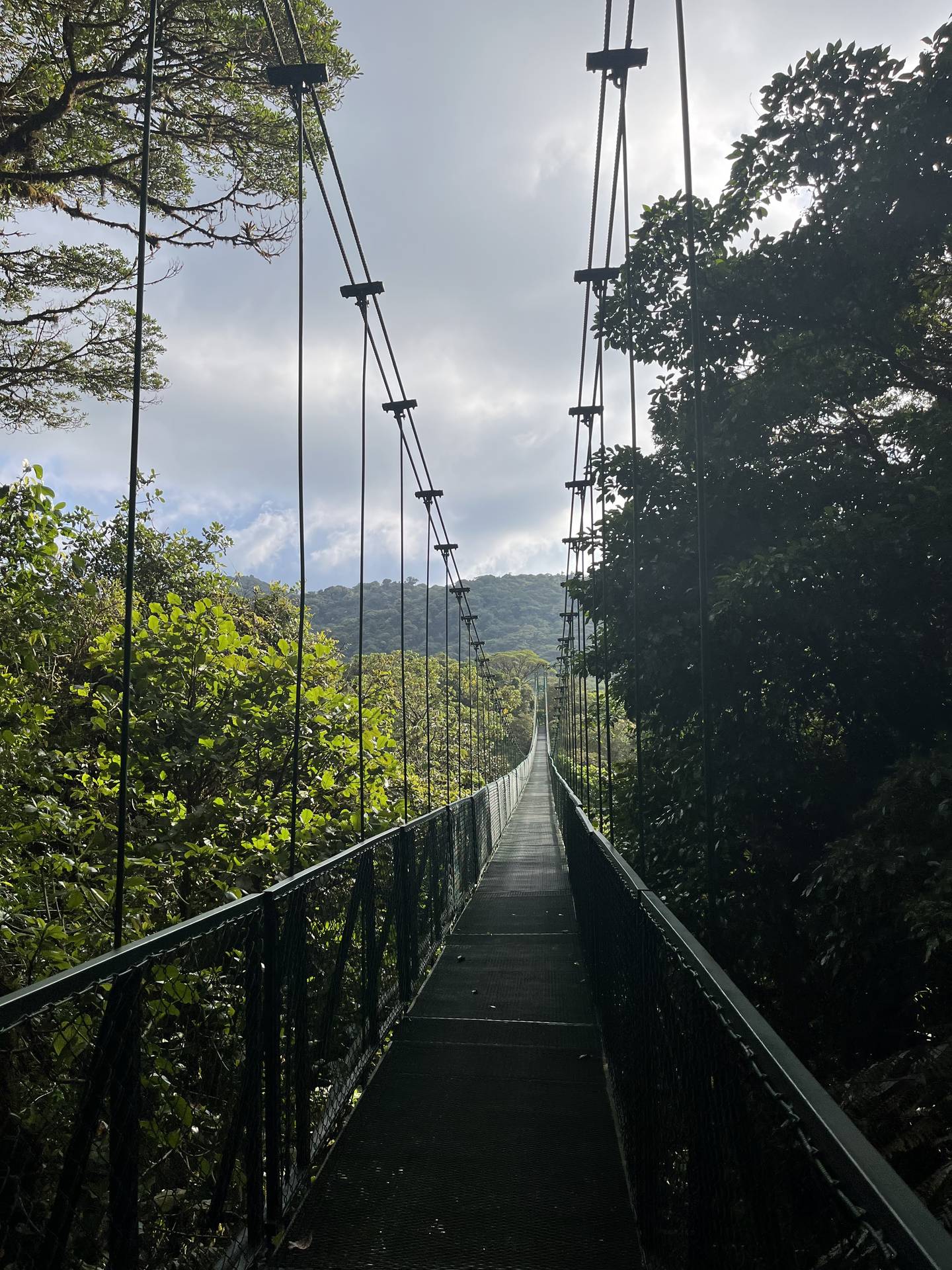 Costa Rica Quest by G Adventures with 321 Tour Reviews (Code: CRQ ...