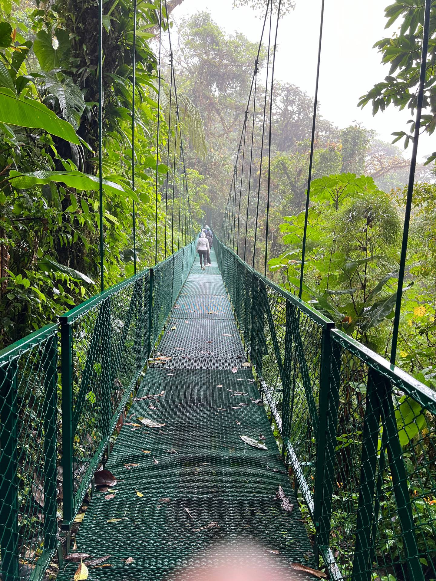 Costa Rica Quest by G Adventures with 321 Tour Reviews (Code: CRQ ...