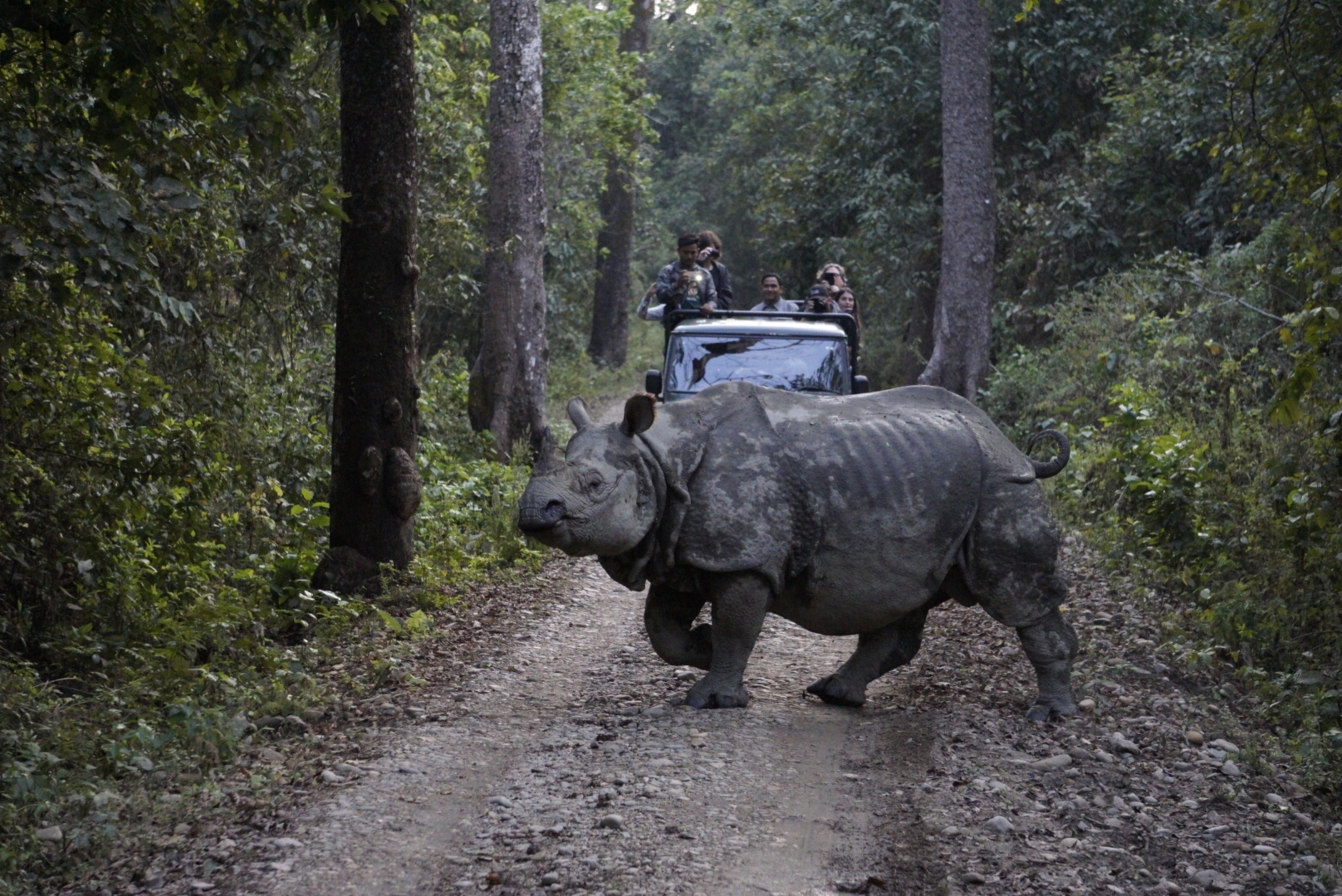 Classic Nepal by Intrepid Travel with 43 Tour Reviews (Code: HNKA ...