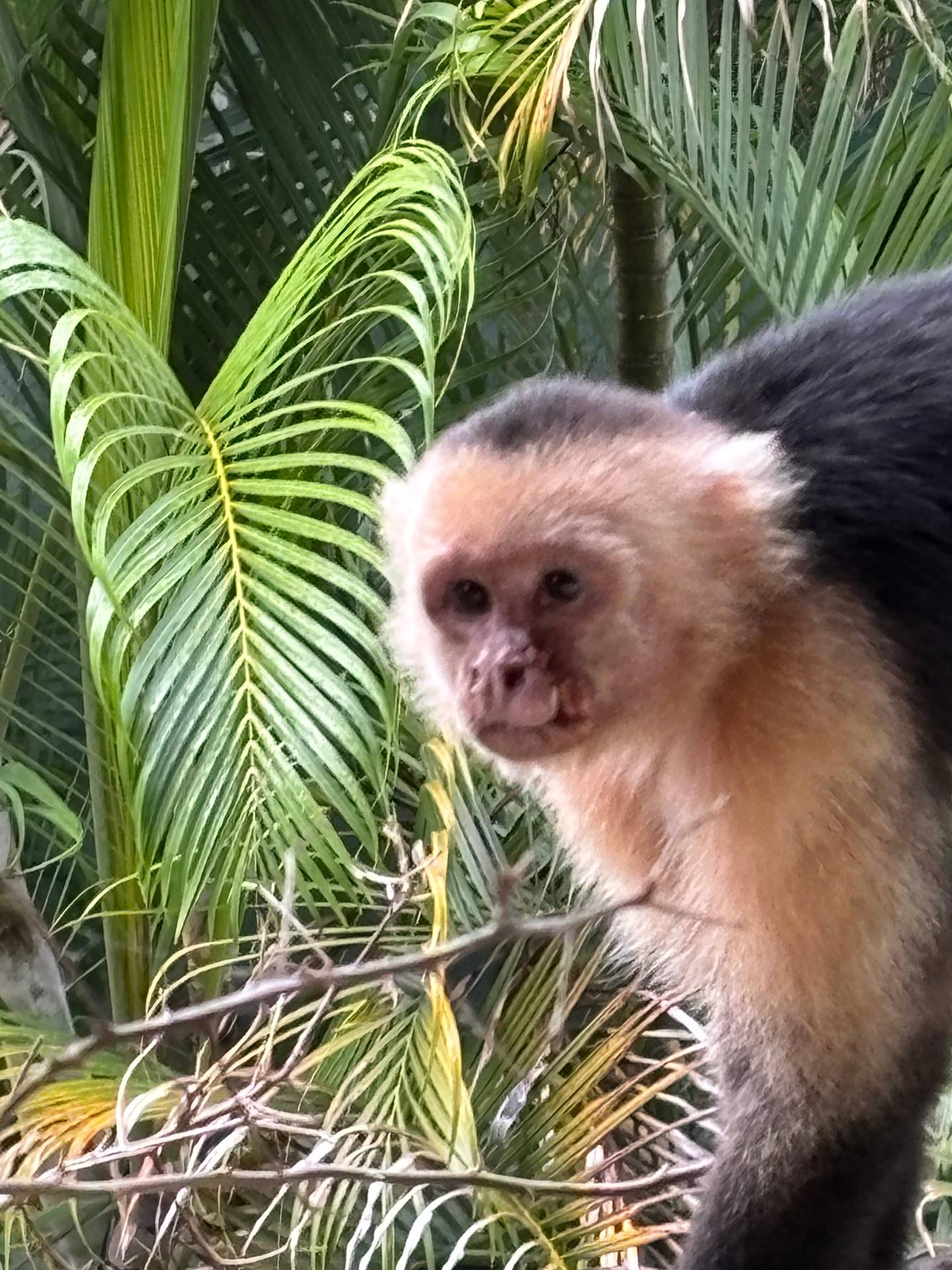 Journeys: Explore Costa Rica National Geographic Journeys by National ...