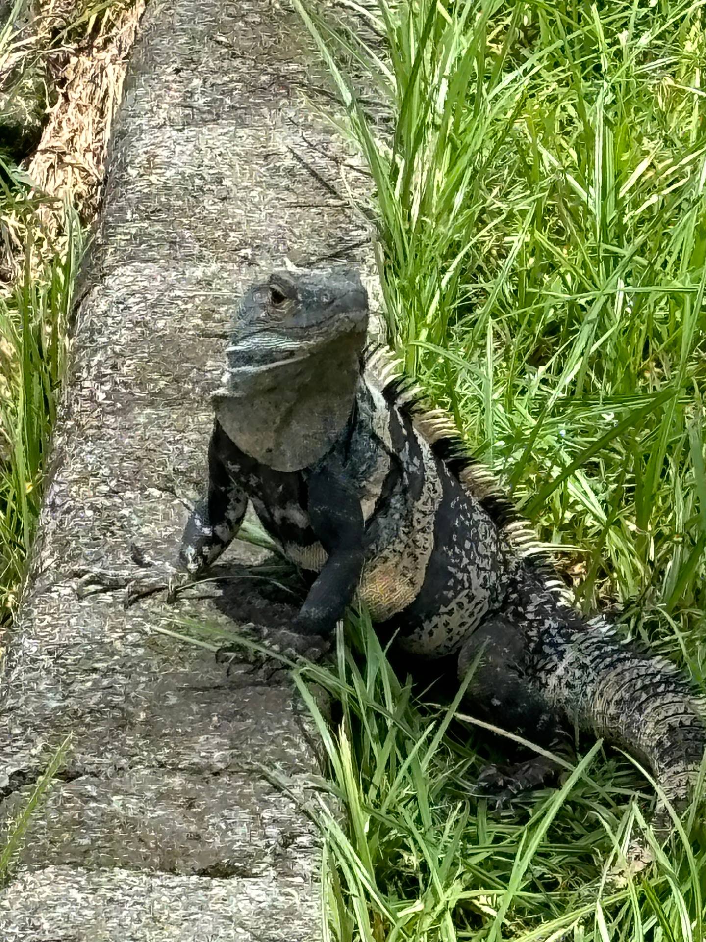 Journeys: Explore Costa Rica National Geographic Journeys by National ...