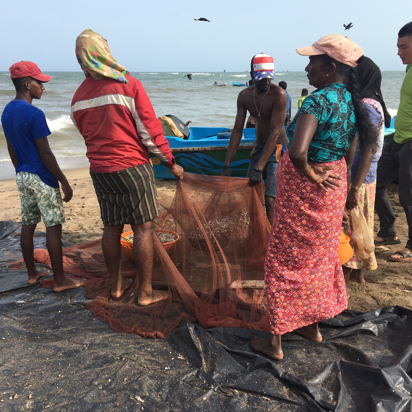 Sri Lanka Explorer (from Negombo to Colombo) by Intrepid Travel with 13 ...