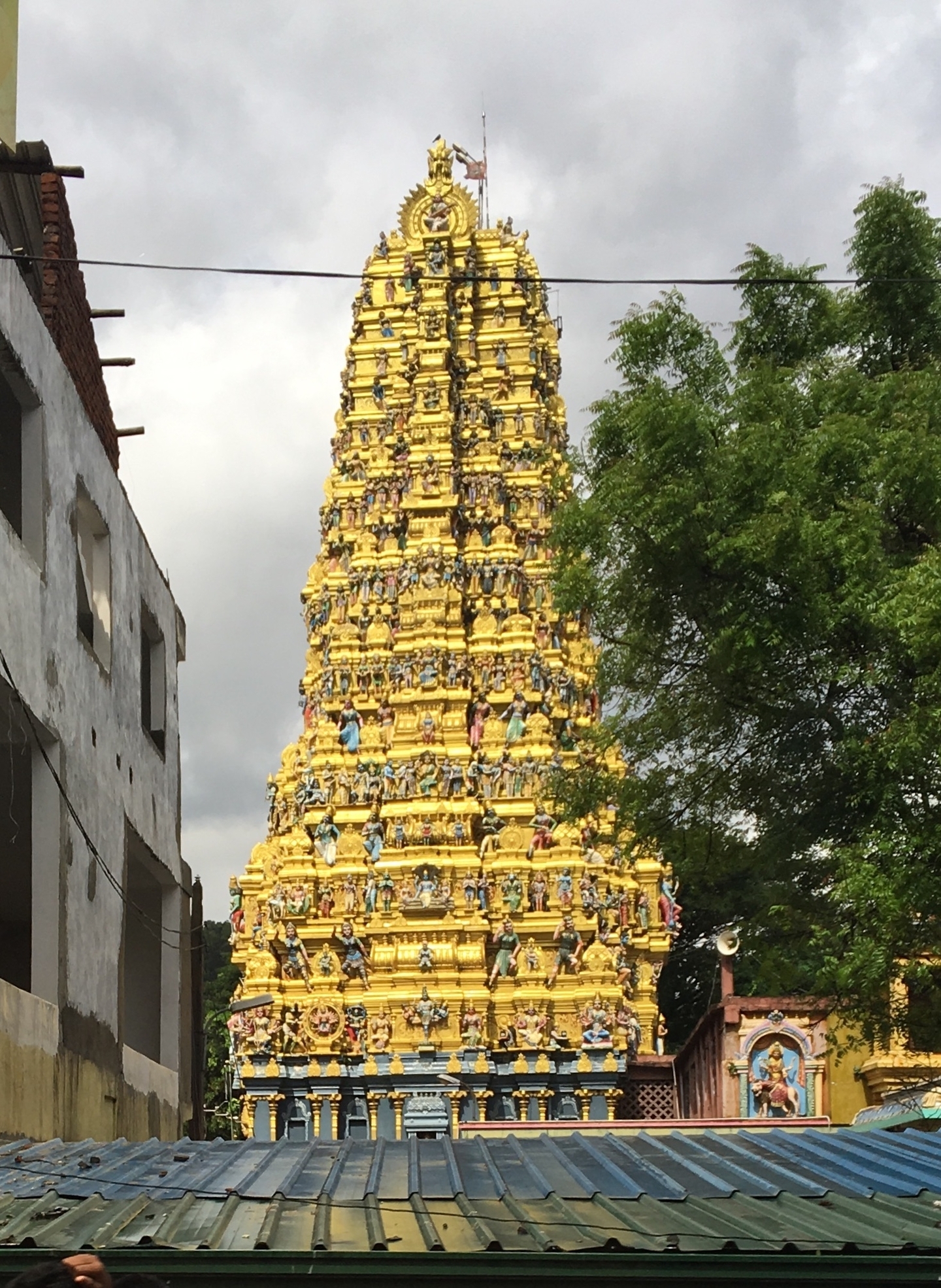 Sri Lanka Explorer (from Negombo to Colombo) by Intrepid Travel with 13 ...