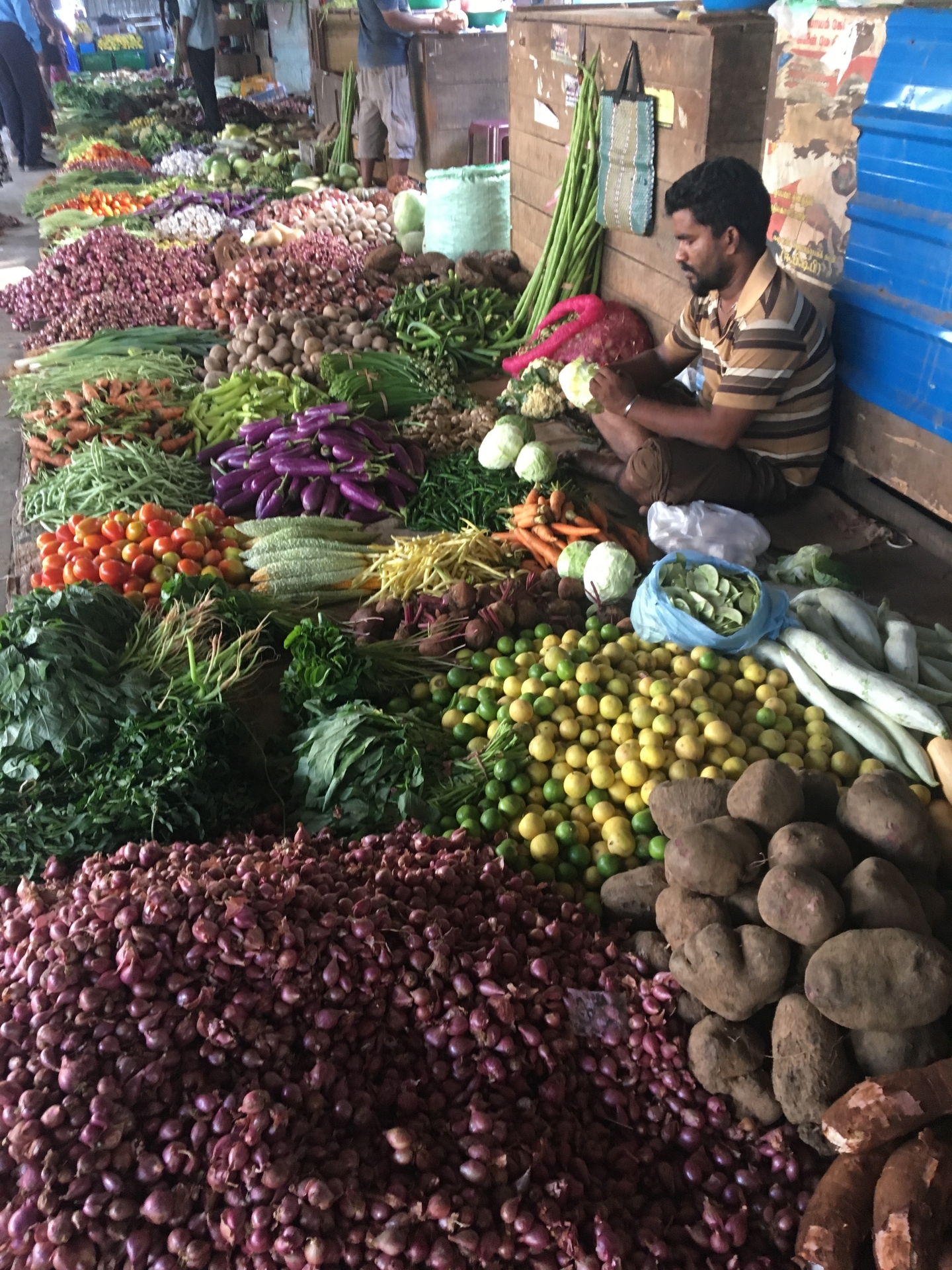 Sri Lanka Explorer (from Negombo to Colombo) by Intrepid Travel with 13 ...