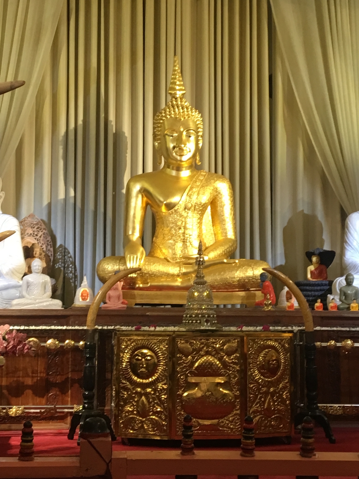 Sri Lanka Explorer (from Negombo to Colombo) by Intrepid Travel with 13 ...