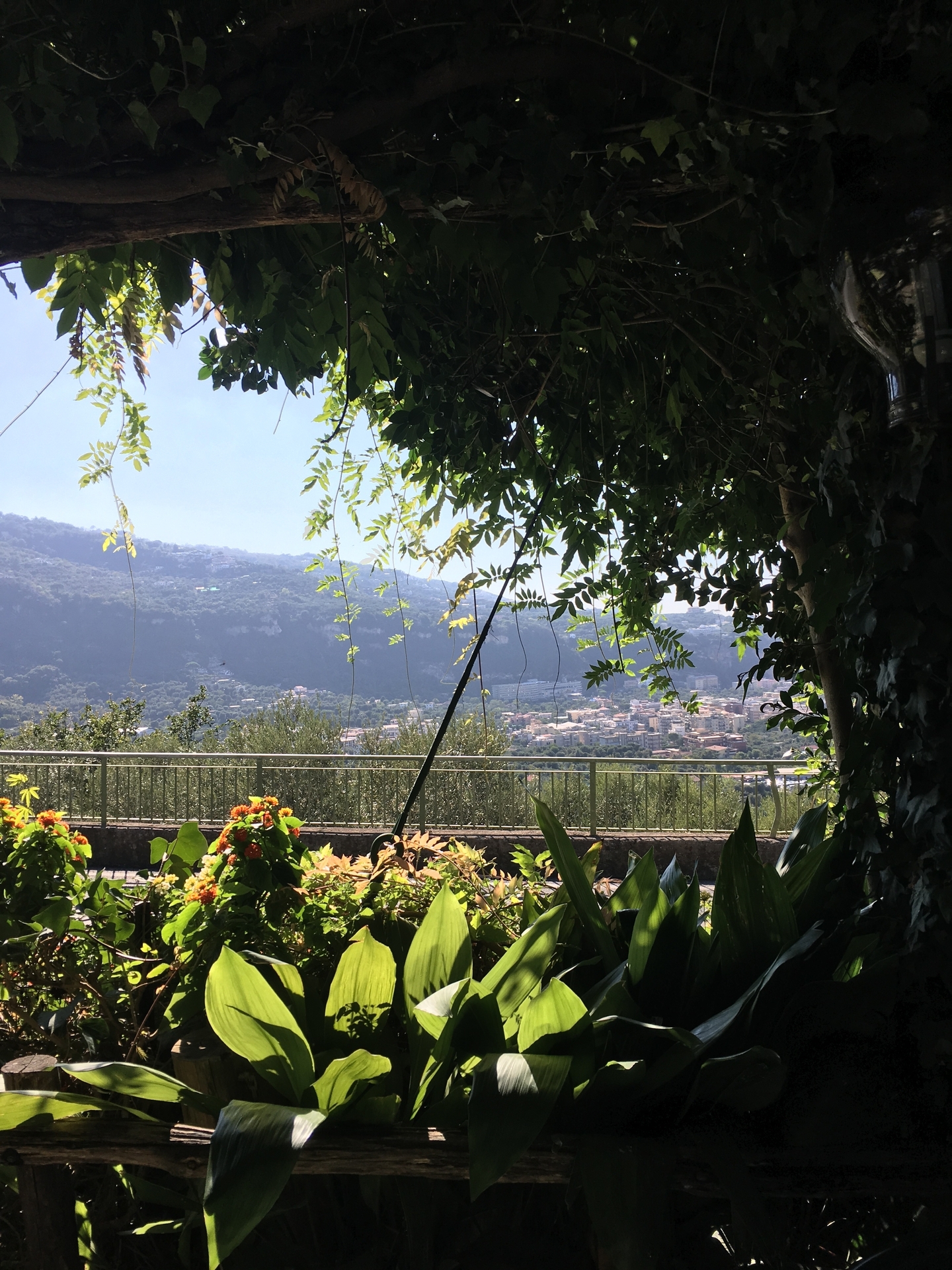 Italy Bellissimo by Trafalgar with 18 Tour Reviews - TourRadar