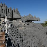 Discover the Unique in Madagascar - Lemurs, Baobabs, Tsingy by Fosa ...