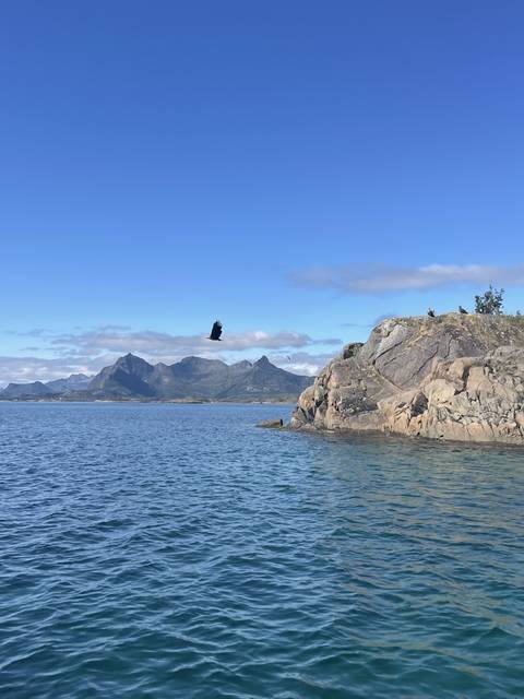 Northern Norway Explorer by Intrepid Travel with 12 Tour Reviews (Code ...