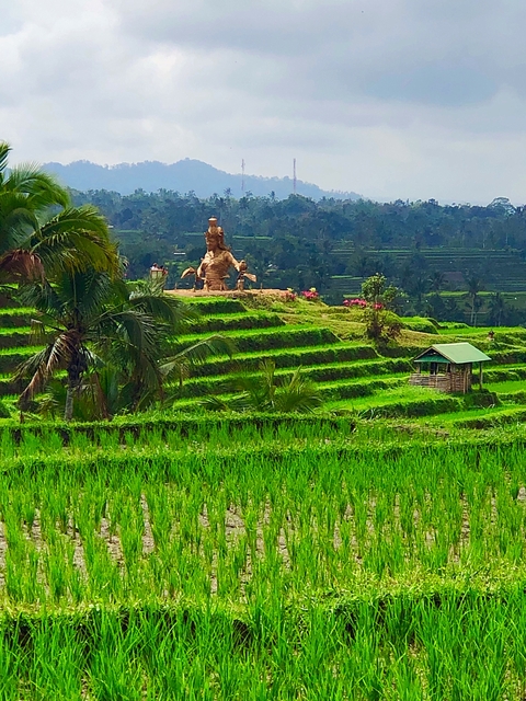 Classic Bali by G Adventures with 30 Tour Reviews (Code: AESU) - TourRadar