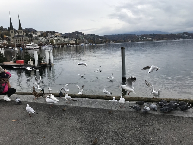 Italy and Switzerland ROT (12 destinations) by Europamundo with 23 Tour ...