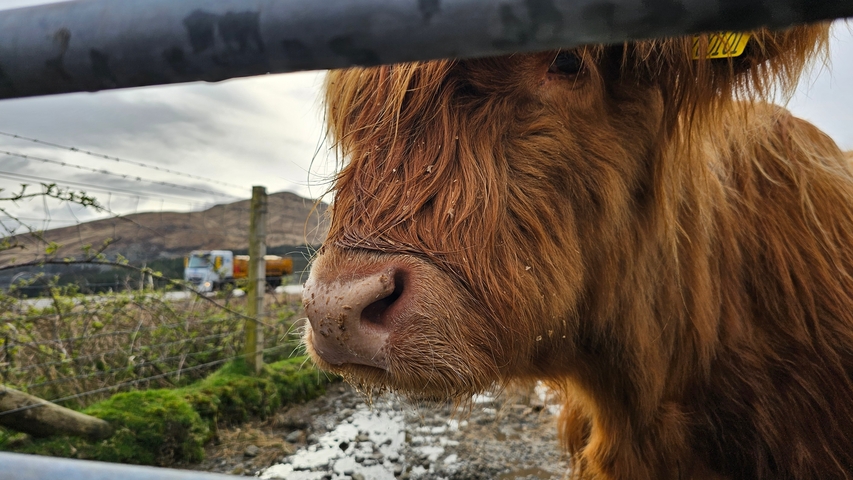 5 Day Skye & Highland Fling by MacBackpackers with 1010 Tour Reviews ...