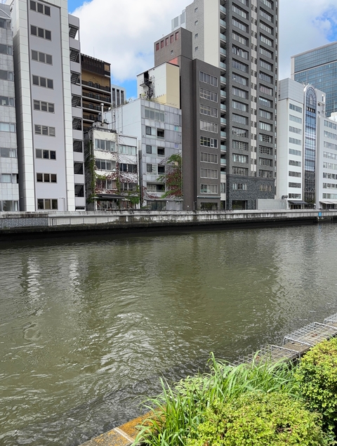 9 Day Independent Japan by Vio Travel with 6 Tour Reviews (Code ...