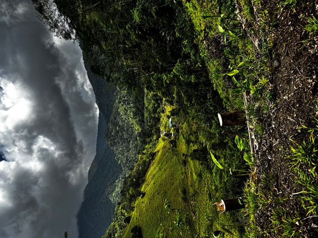 Trek Hidden Costa Rica by G Adventures with 30 Tour Reviews (Code: CRAC ...