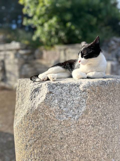 Absolutely Turkey (Small group tour) by Eskapas with 86 Tour Reviews ...