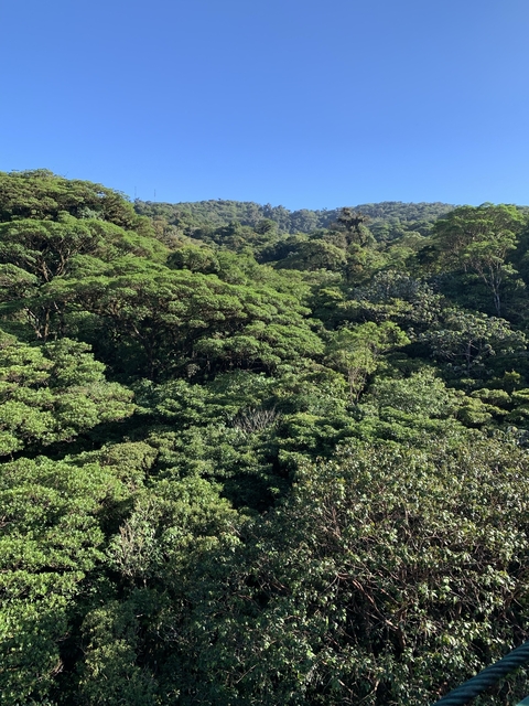 Costa Rica Quest by G Adventures with 316 Tour Reviews (Code: CRQ ...