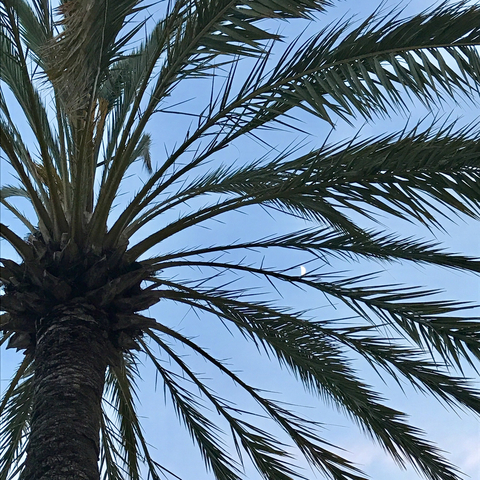 Get Social: Big European by Topdeck with 125 Tour Reviews (Code: TSSLL ...