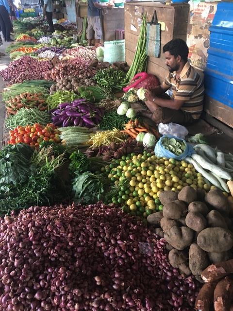 Sri Lanka Explorer (from Negombo to Colombo) by Intrepid Travel with 13 ...