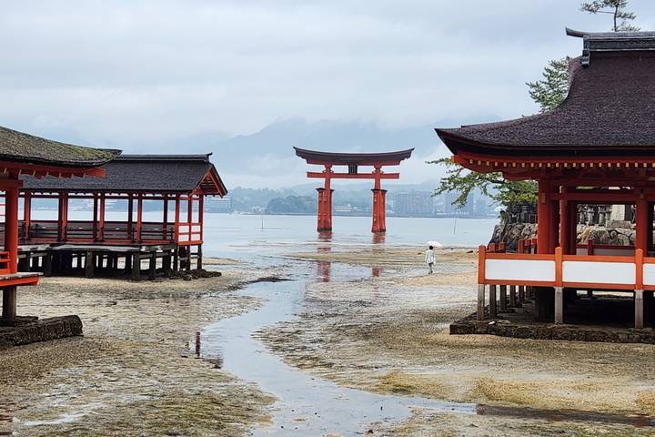 10 Best Southern Japan Tours & Trips 2026 - TourRadar