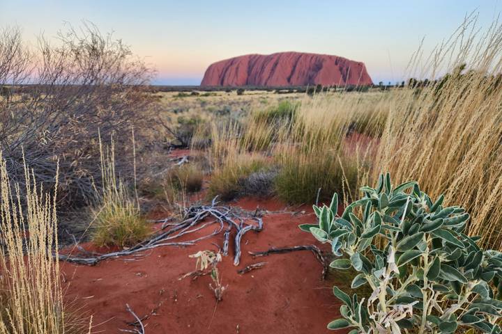 10 Best Australian Outback Tours & Trips 2026/2027 - TourRadar