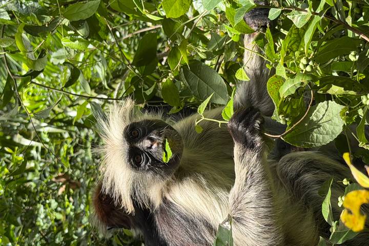 10 Best Zanzibar Tours & Trips 2026/2027 - TourRadar