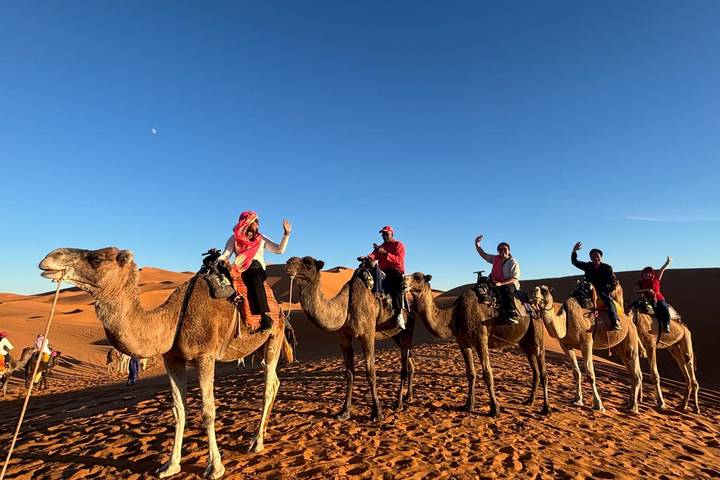 10 Best North Africa Tours & Trips 2026/2027 - TourRadar