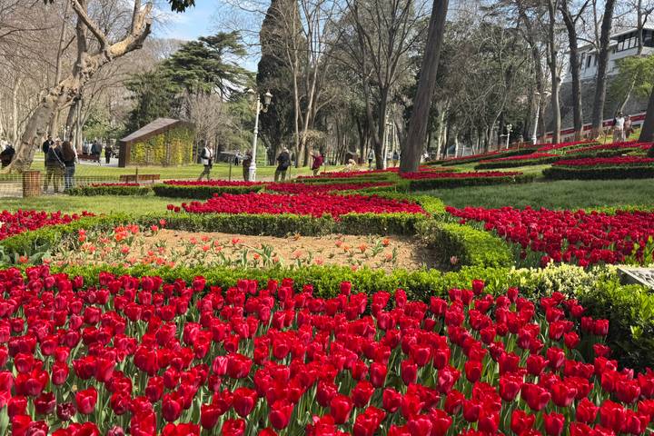 10 Best Turkey Tours & Trips 2026/2027 - TourRadar