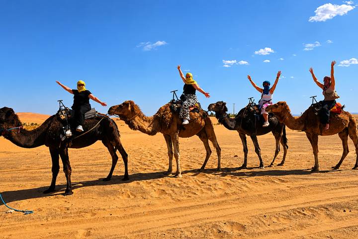 10 Best Africa Tours & Trips 2026/2027 - TourRadar