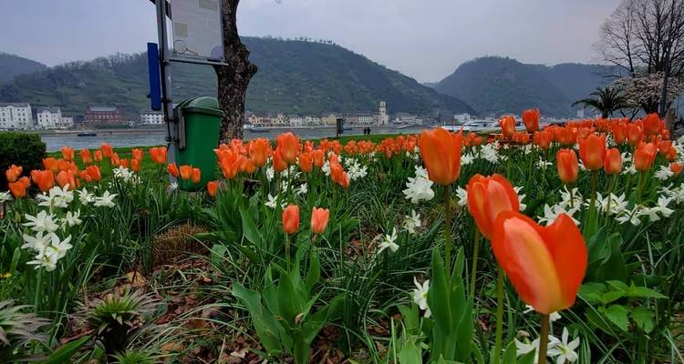 Europe Escape - 12 Days by Expat Explore Travel with 617 Tour Reviews ...