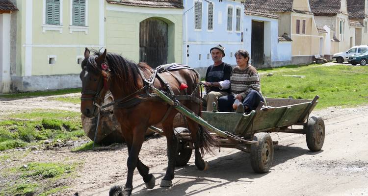 Classic Romania Tour (small group) by Rolandia with 46 Tour Reviews ...